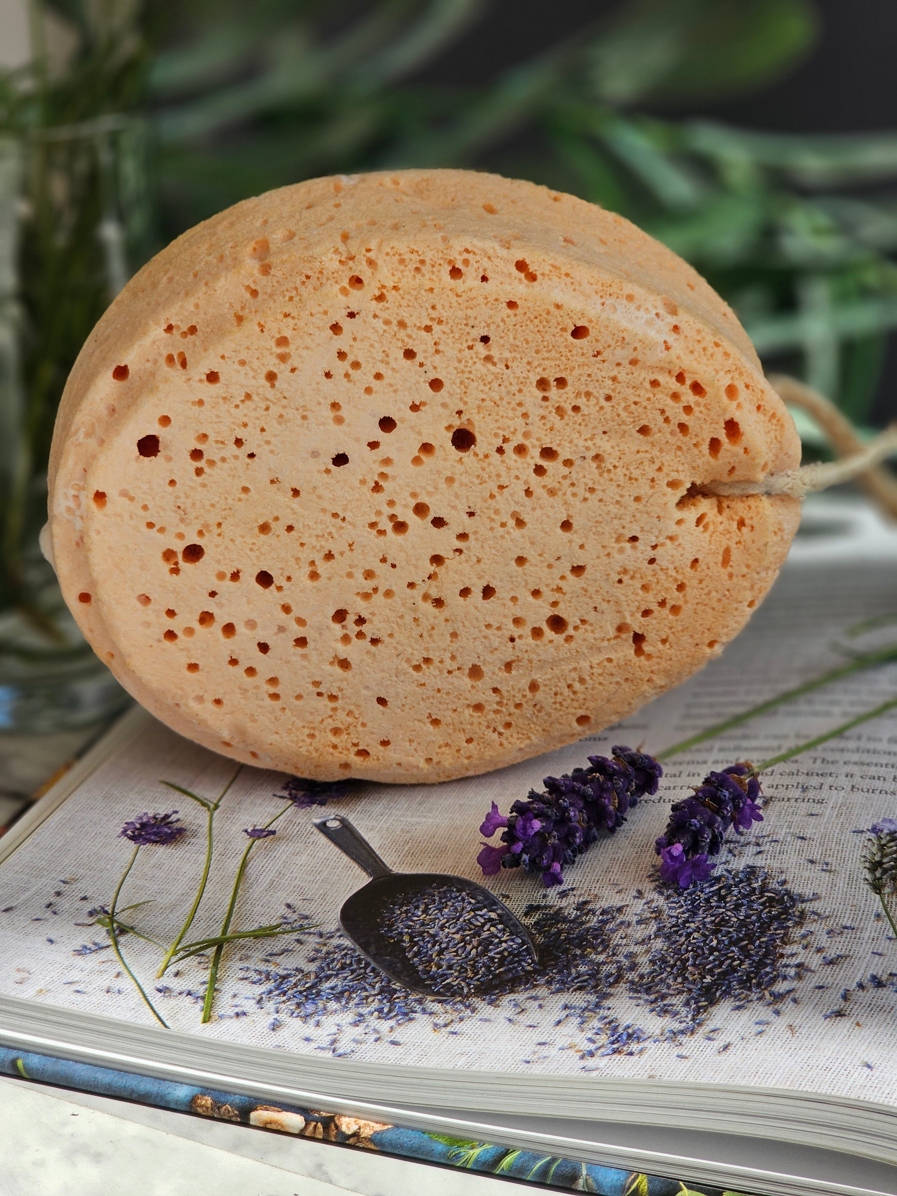 Soap Filled Sponges – Pentland Aromatics